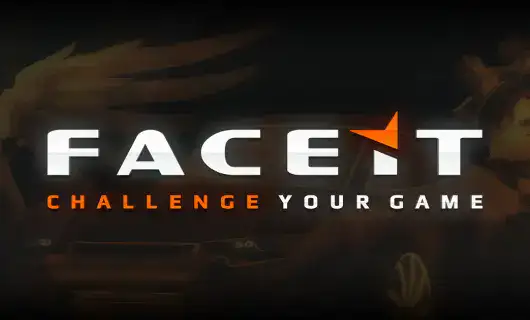 How to find a FACEIT profile on Steam? - GGBoost Blog